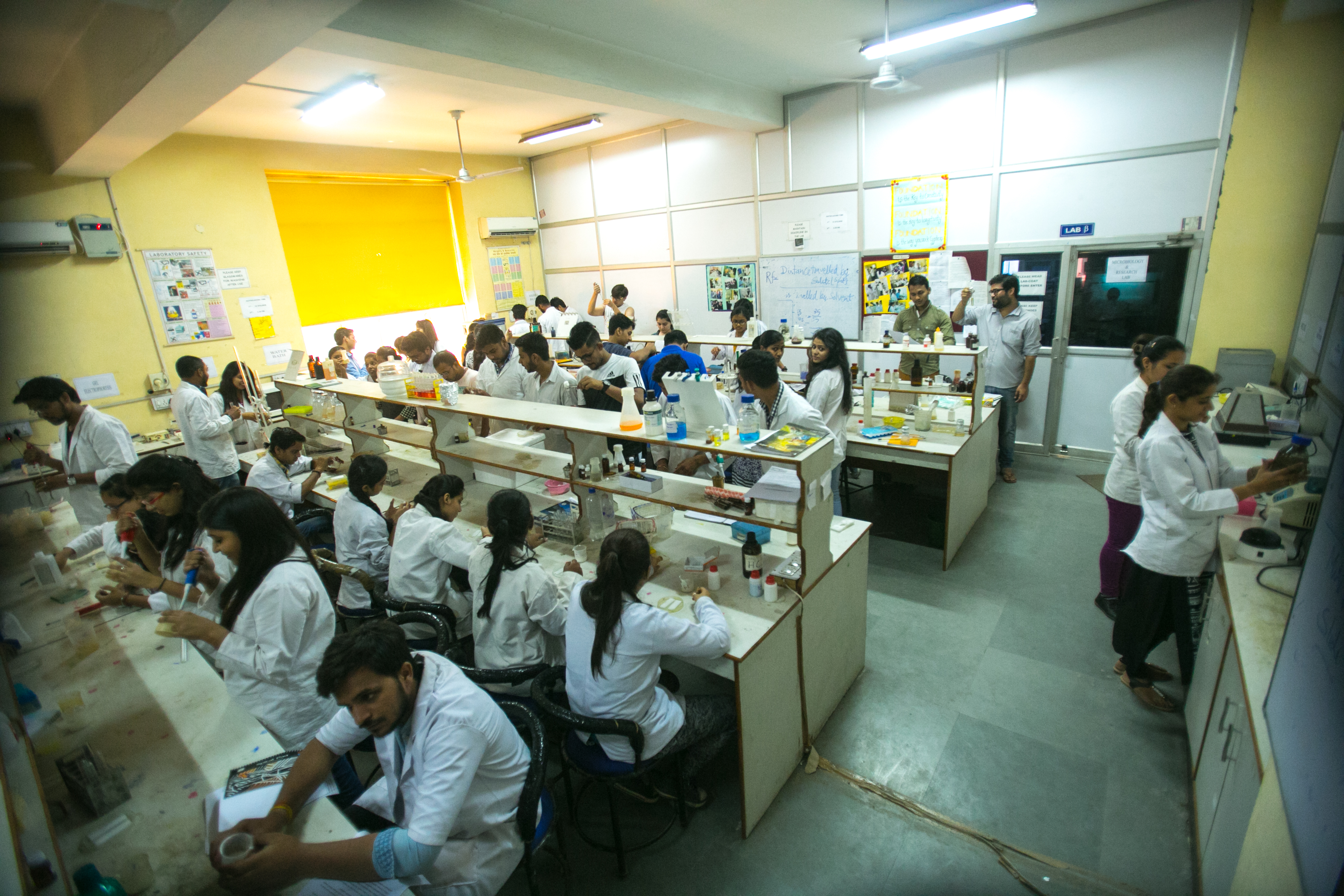 codon biotech