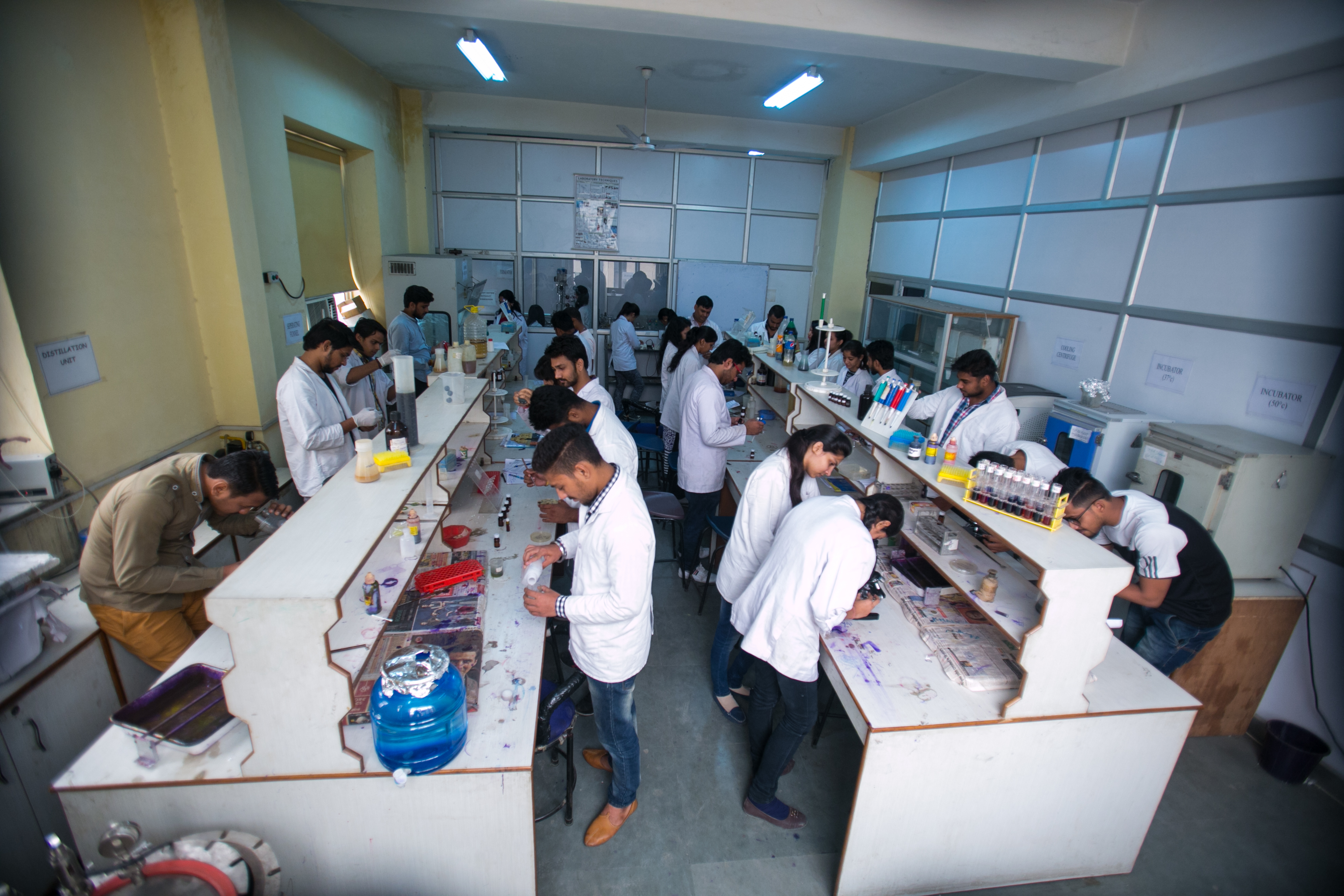 codon biotech