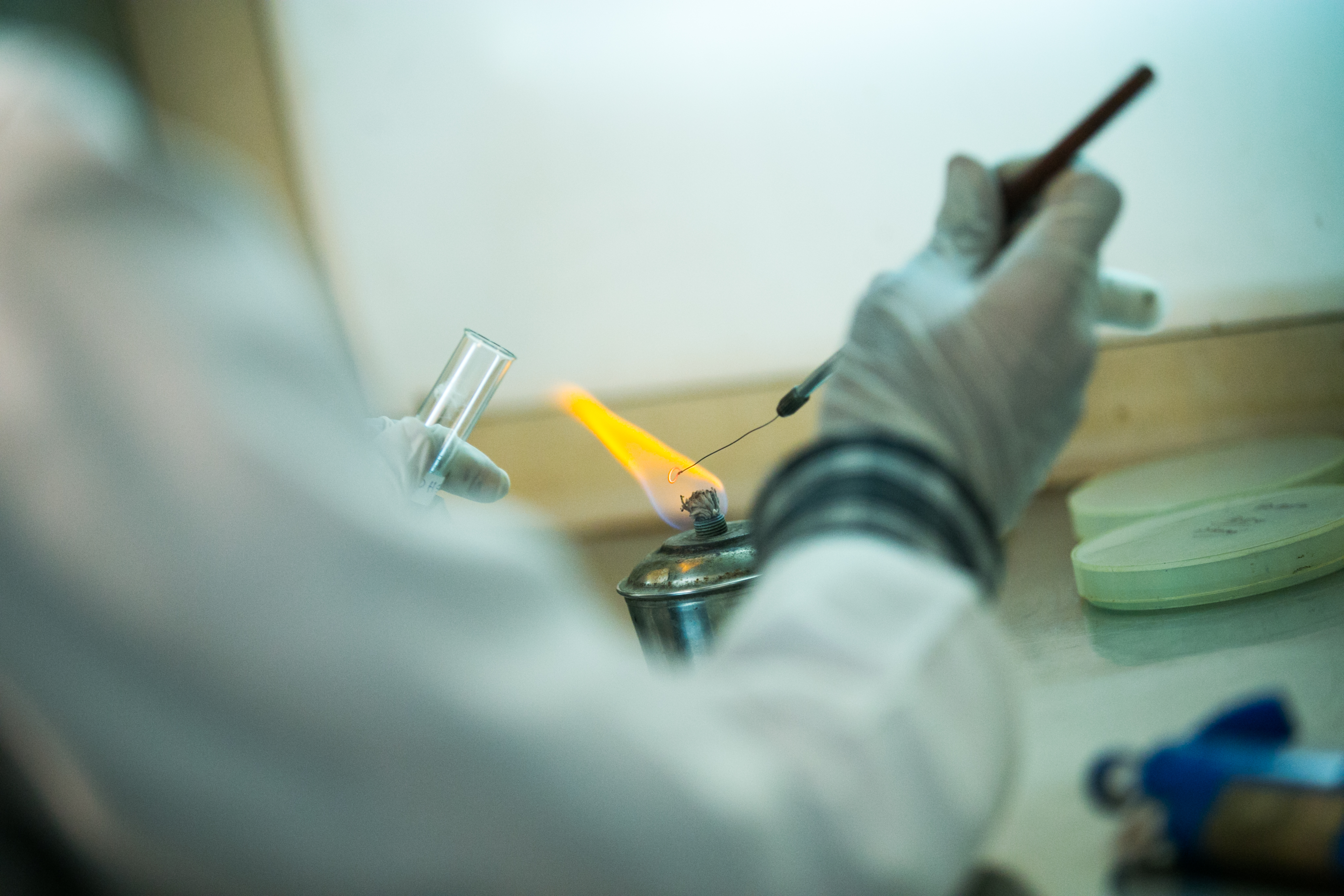 codon biotech